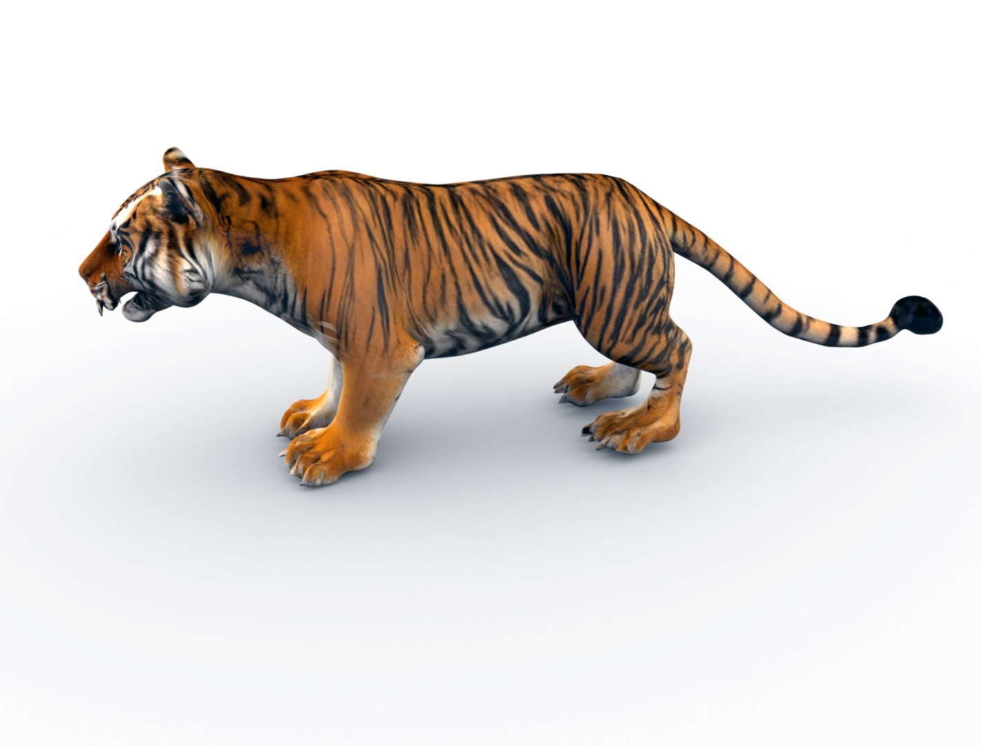 Bengal Tiger 3D Model - TurboSquid 2329065