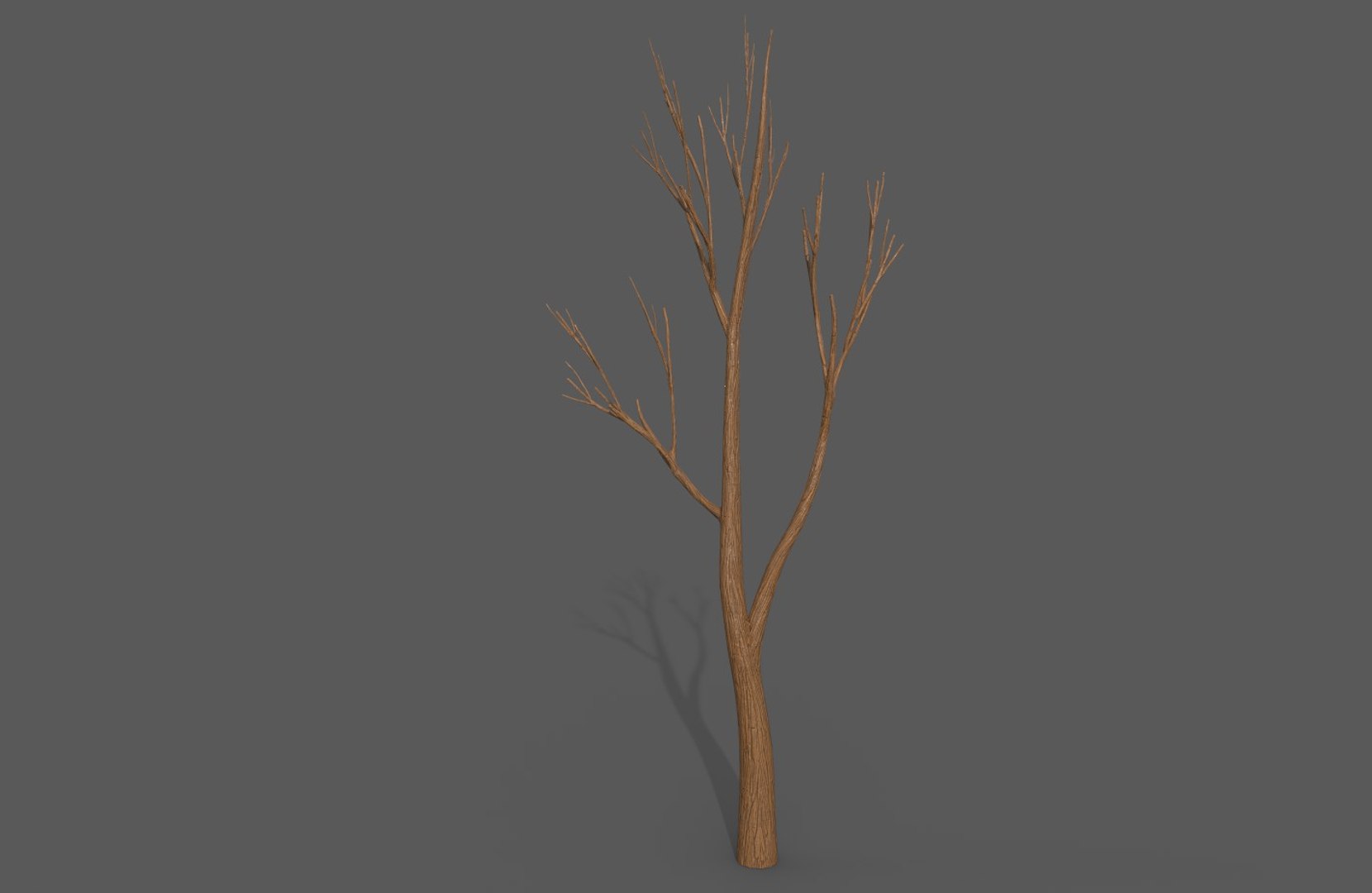 Cartoon tree trunks - model - TurboSquid 1415484