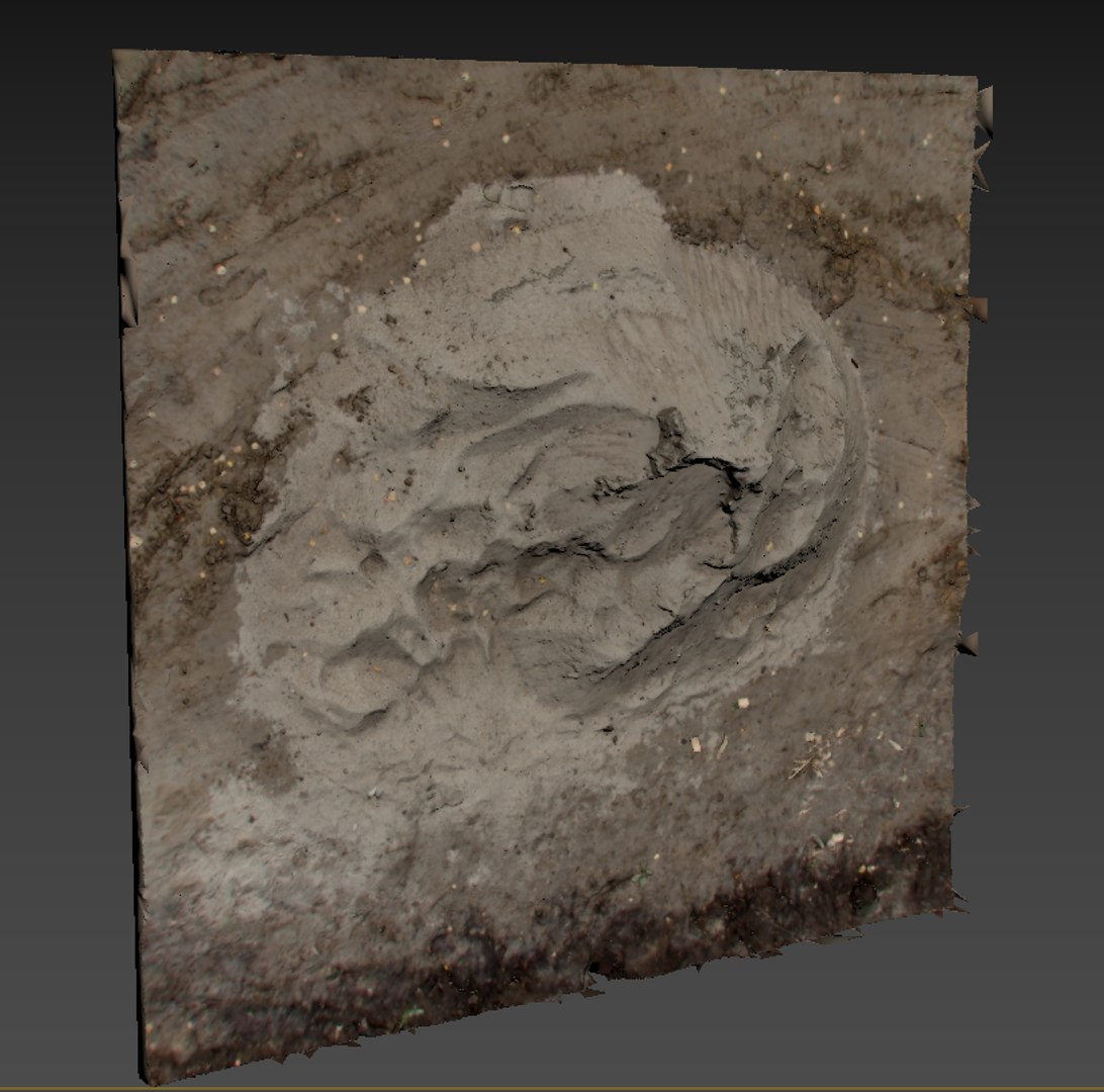 3D Ultra Realistic Sand Scan Model - TurboSquid 1326612