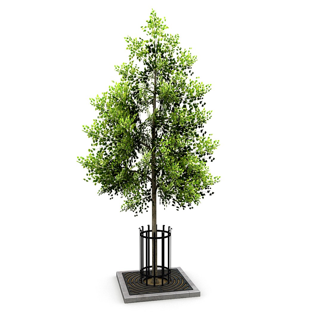 Max Street Tree