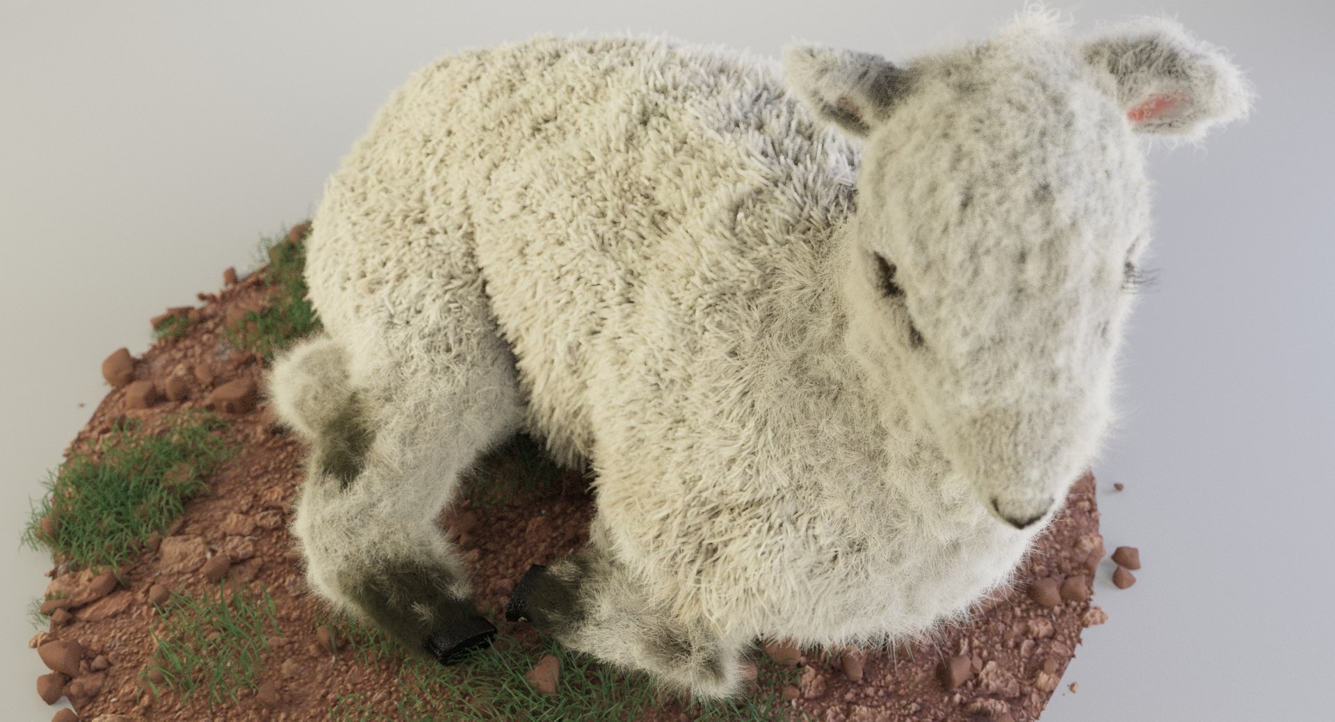 Realistic Rigged Lamb Fur 3d Model