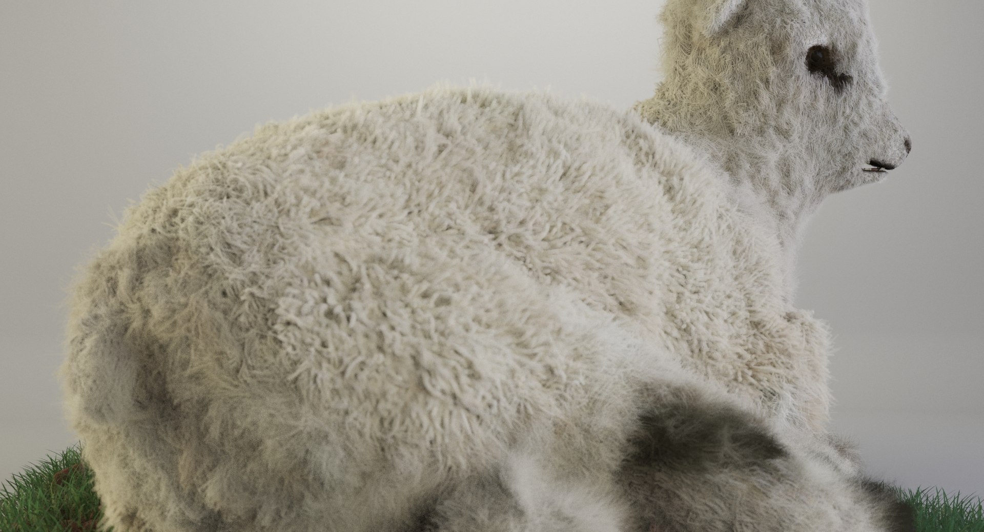 Realistic Rigged Lamb Fur 3d Model