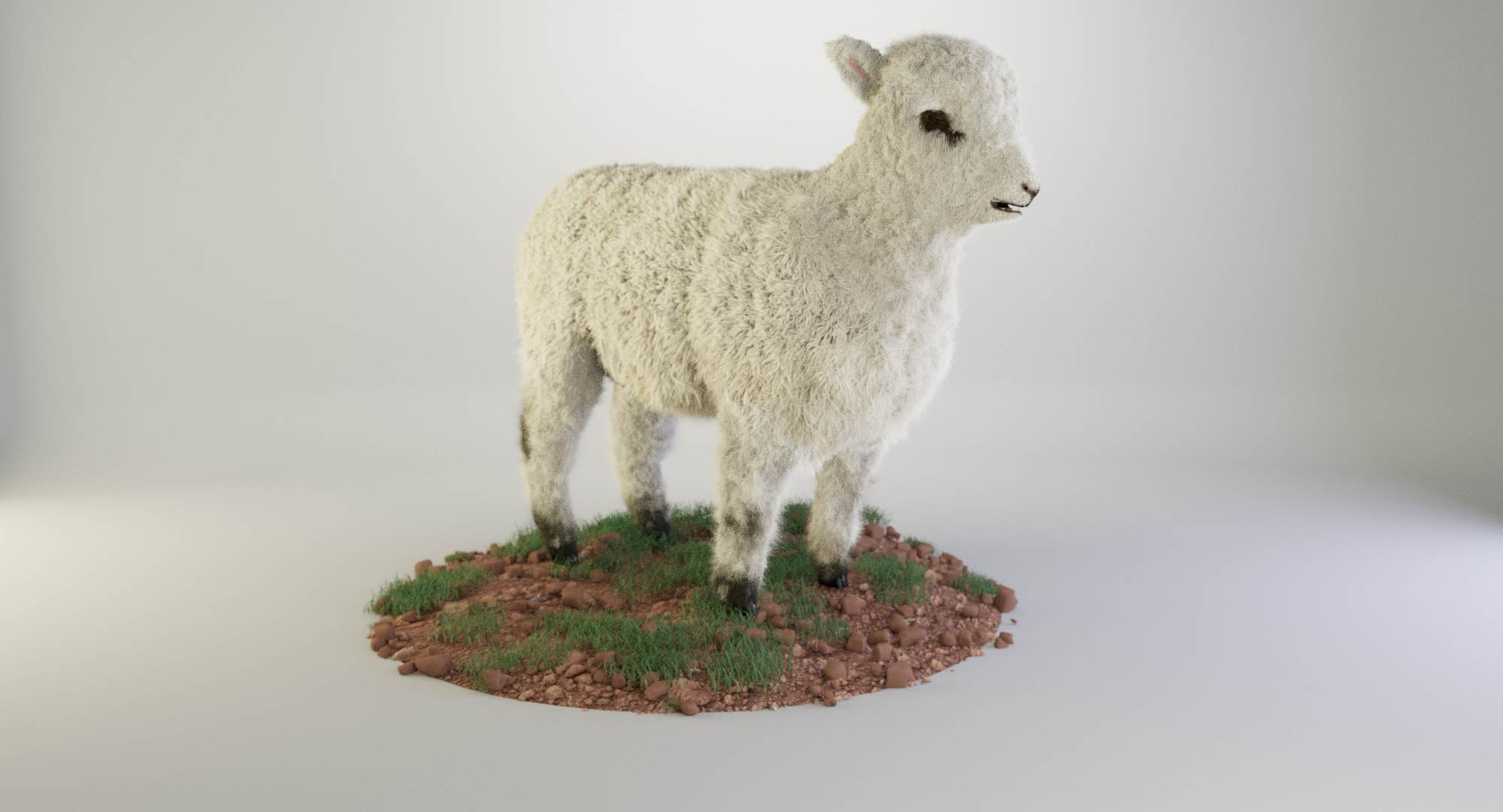 Realistic Rigged Lamb Fur 3d Model