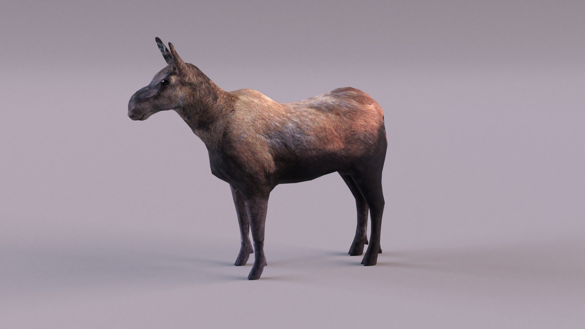 3D Model Moose - TurboSquid 1857352