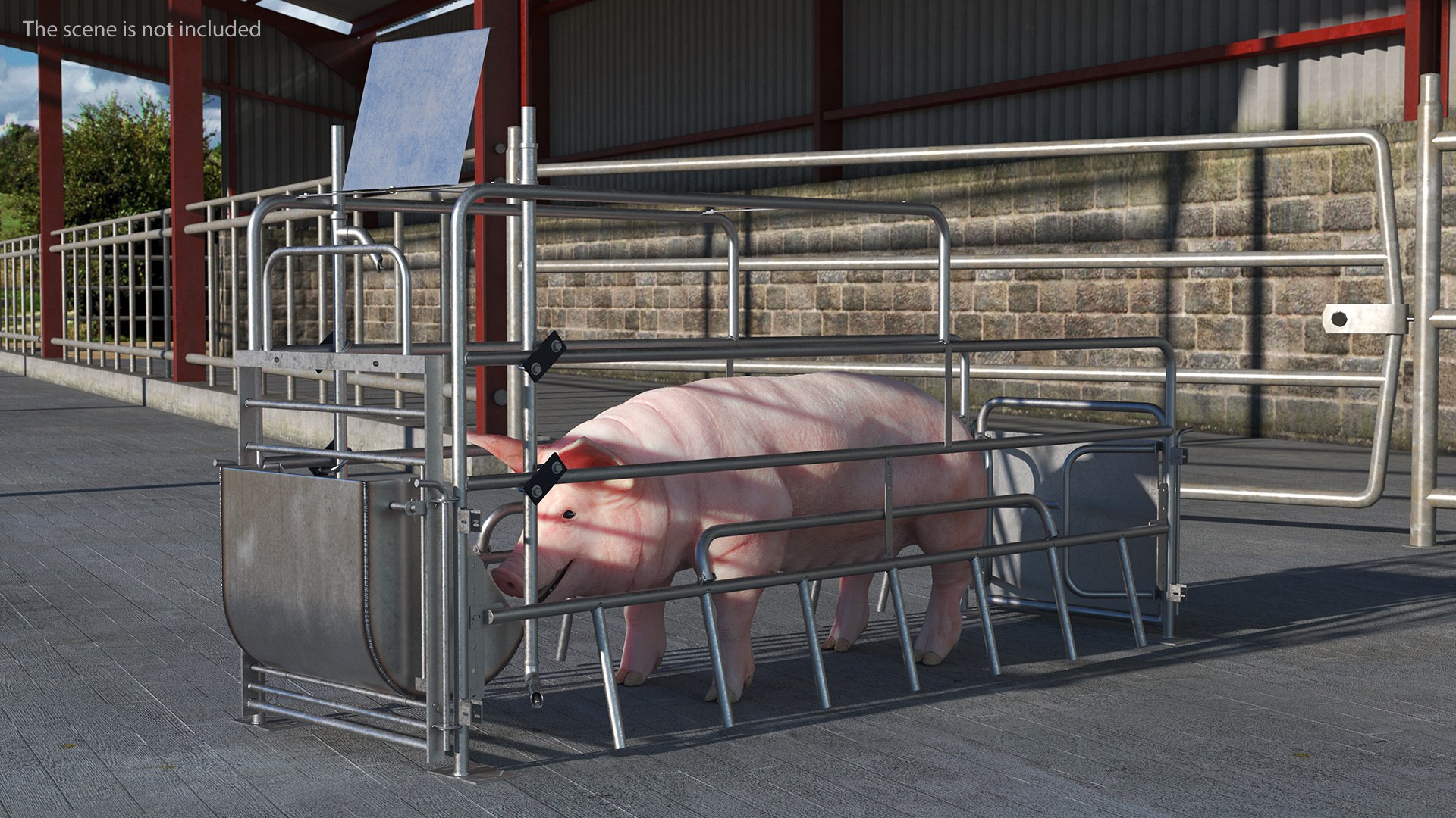 3D Pig In Farrowing Crate Model - TurboSquid 2063790