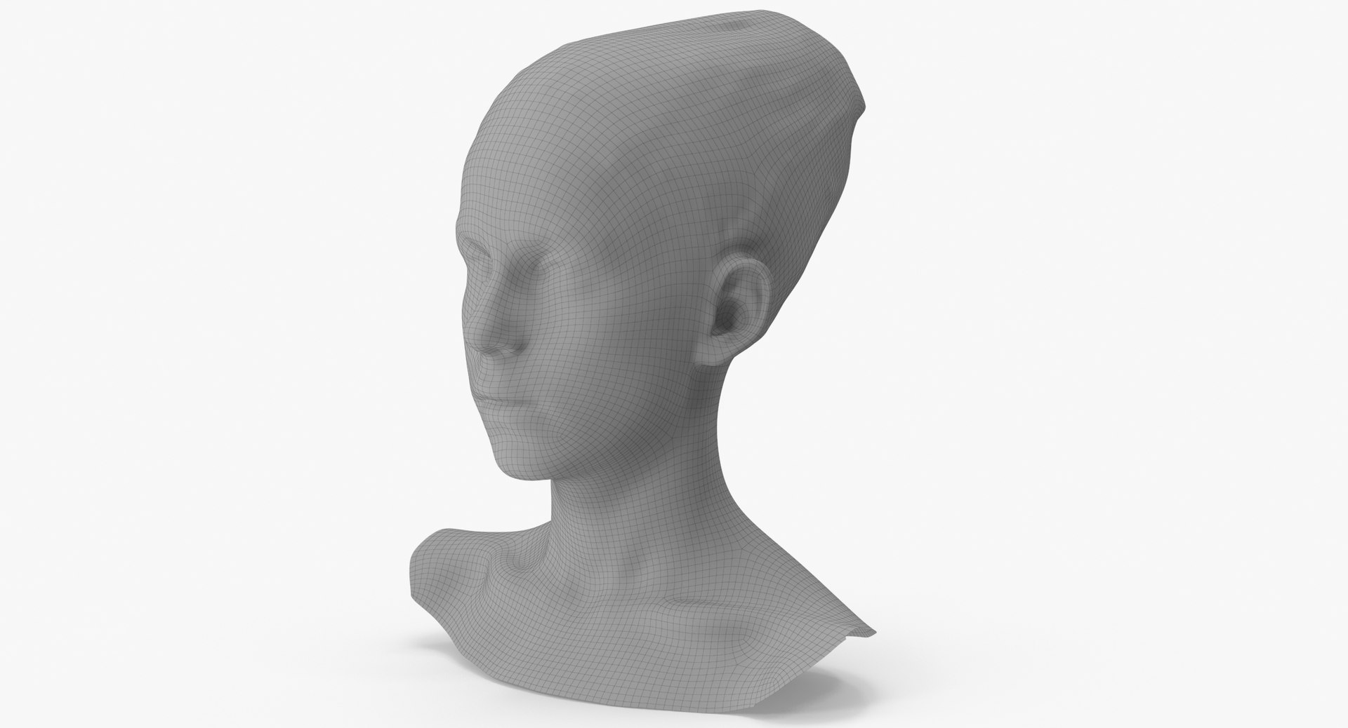 Rhea human head jaw 3D model - TurboSquid 1664200