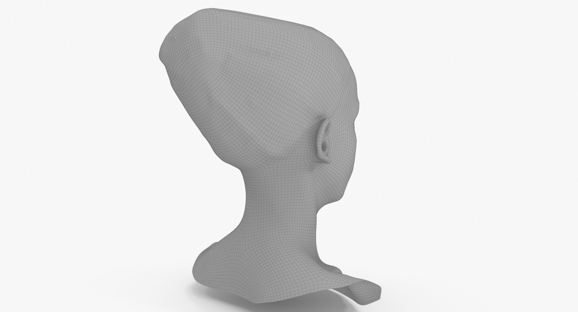 Rhea human head jaw 3D model - TurboSquid 1664200