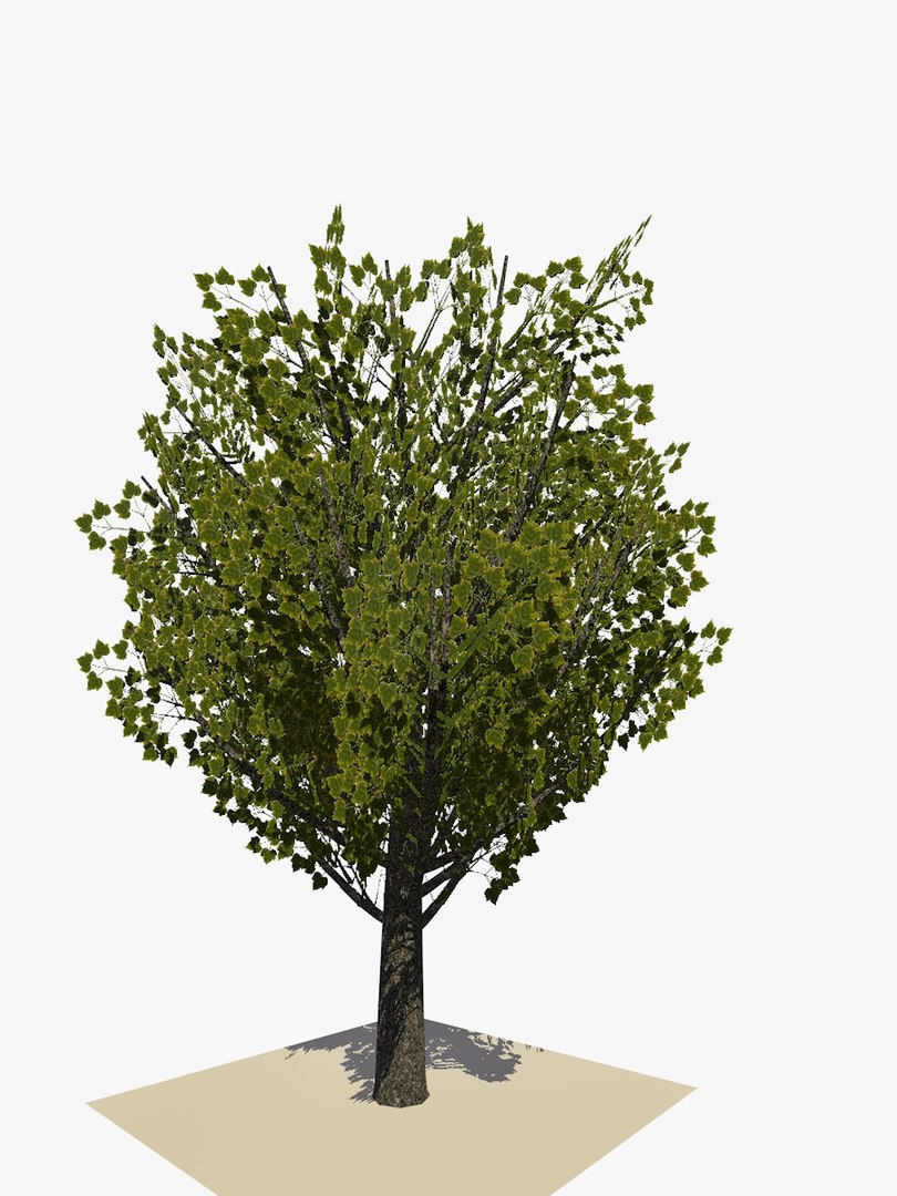 3dsmax Tree Animations