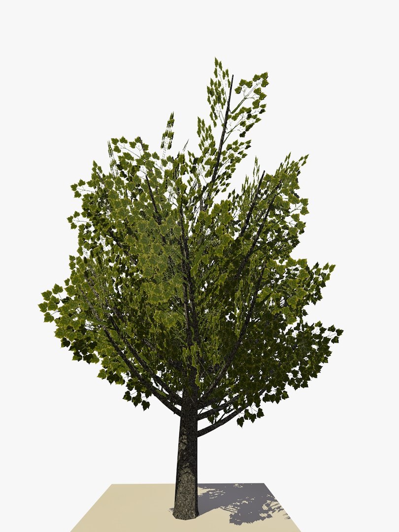 3dsmax Tree Animations