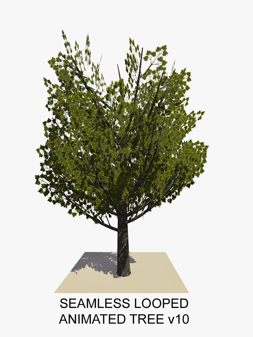 3dsmax Tree Animations