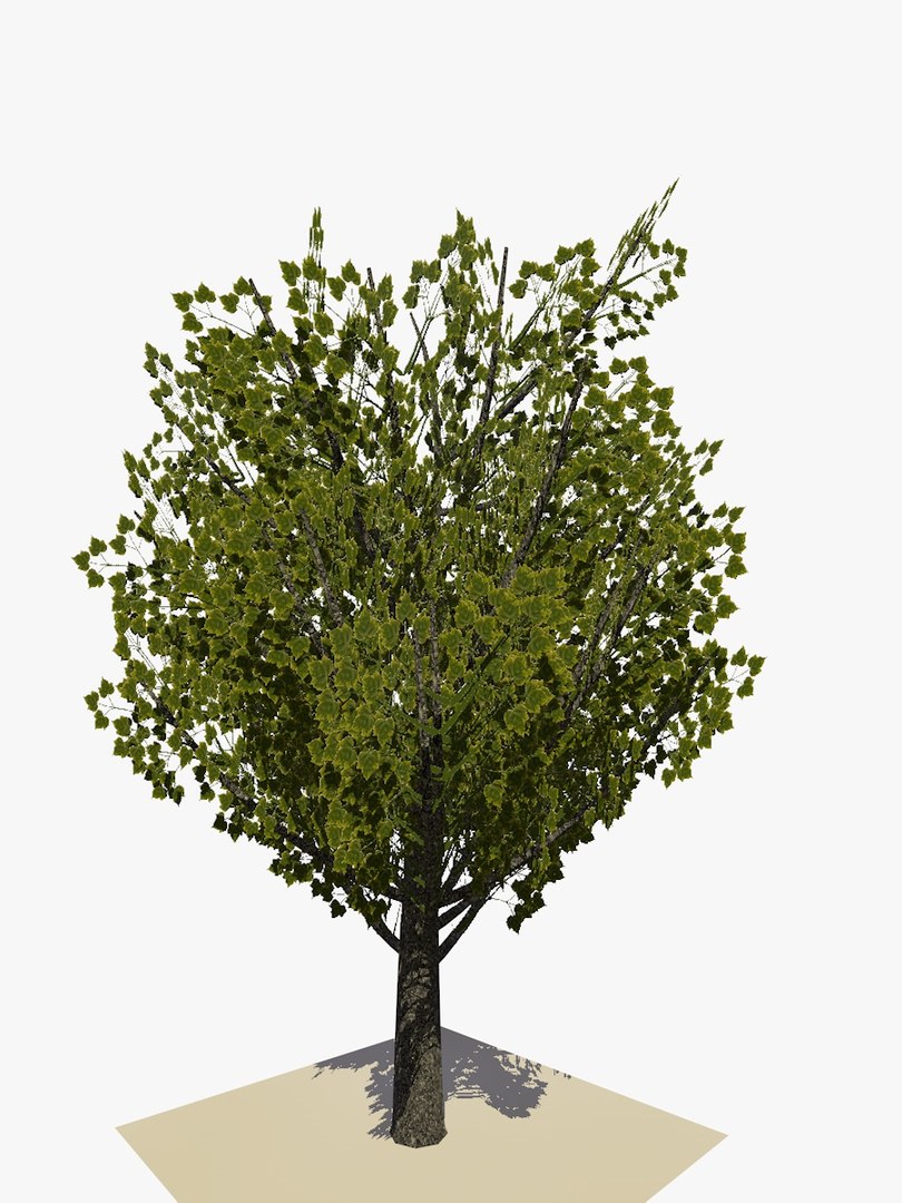 3dsmax Tree Animations