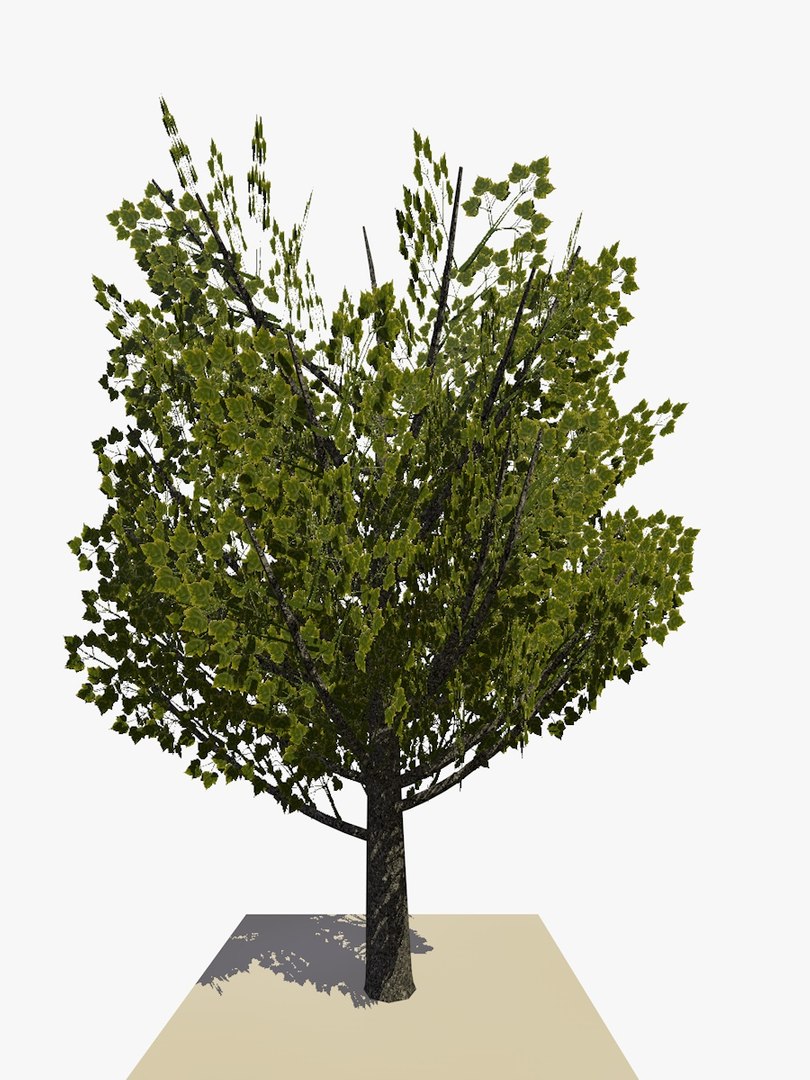 3dsmax Tree Animations