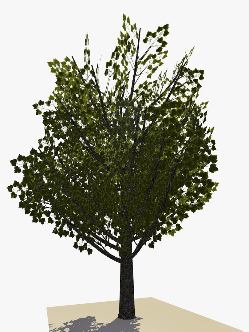 3dsmax Tree Animations