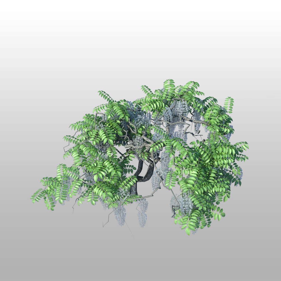 Tree Flower 3d Model