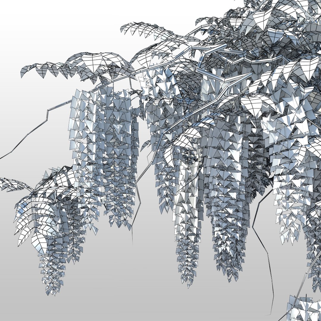 Tree Flower 3d Model