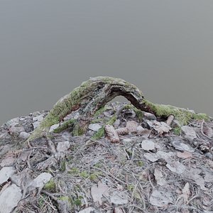 Branch 3D Models for Download | TurboSquid