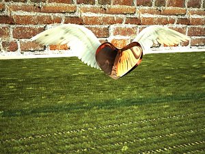 Heart Shape 3D Models for Download | TurboSquid