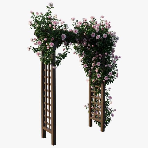 SketchUp Arch Models | TurboSquid