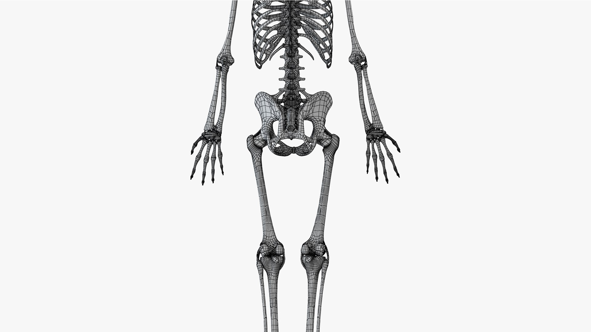 3D Skin Obese Male Skeleton Model - TurboSquid 1508704