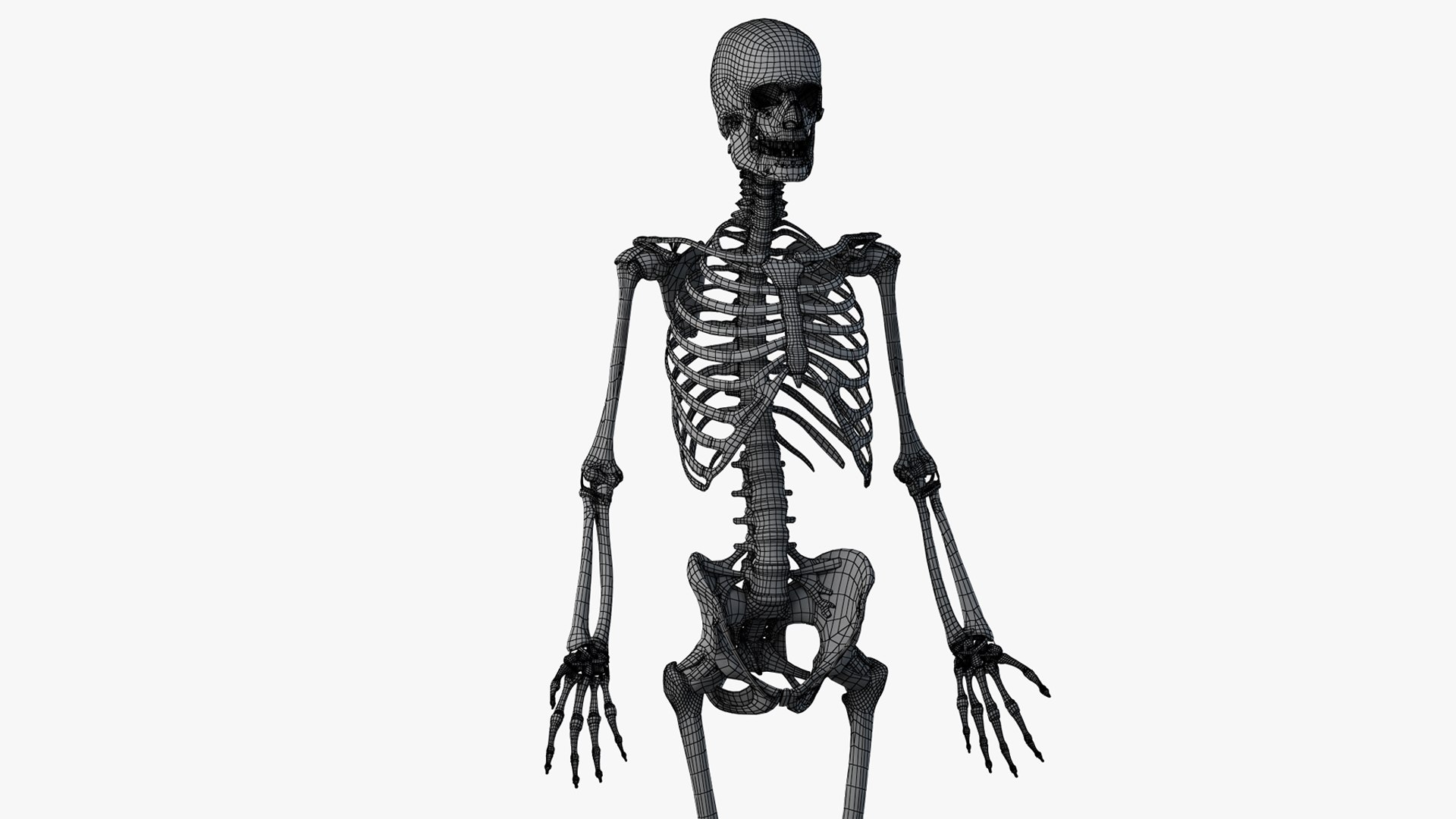 3D Skin Obese Male Skeleton Model - TurboSquid 1508704