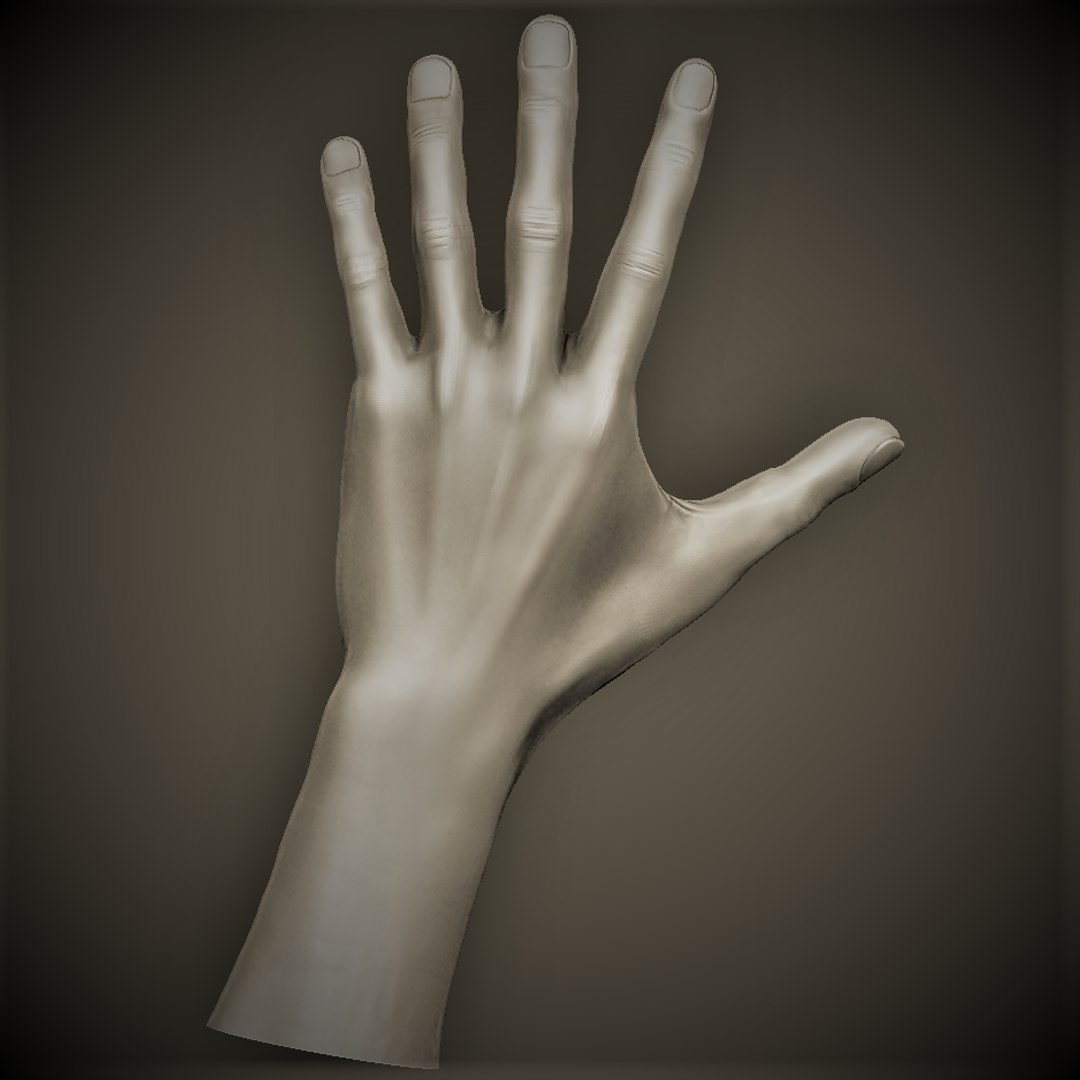 Hi Model - TurboSquid 1367780