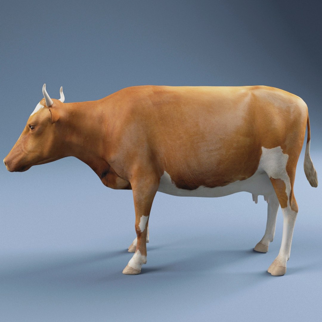 Farm Animals 3d Model