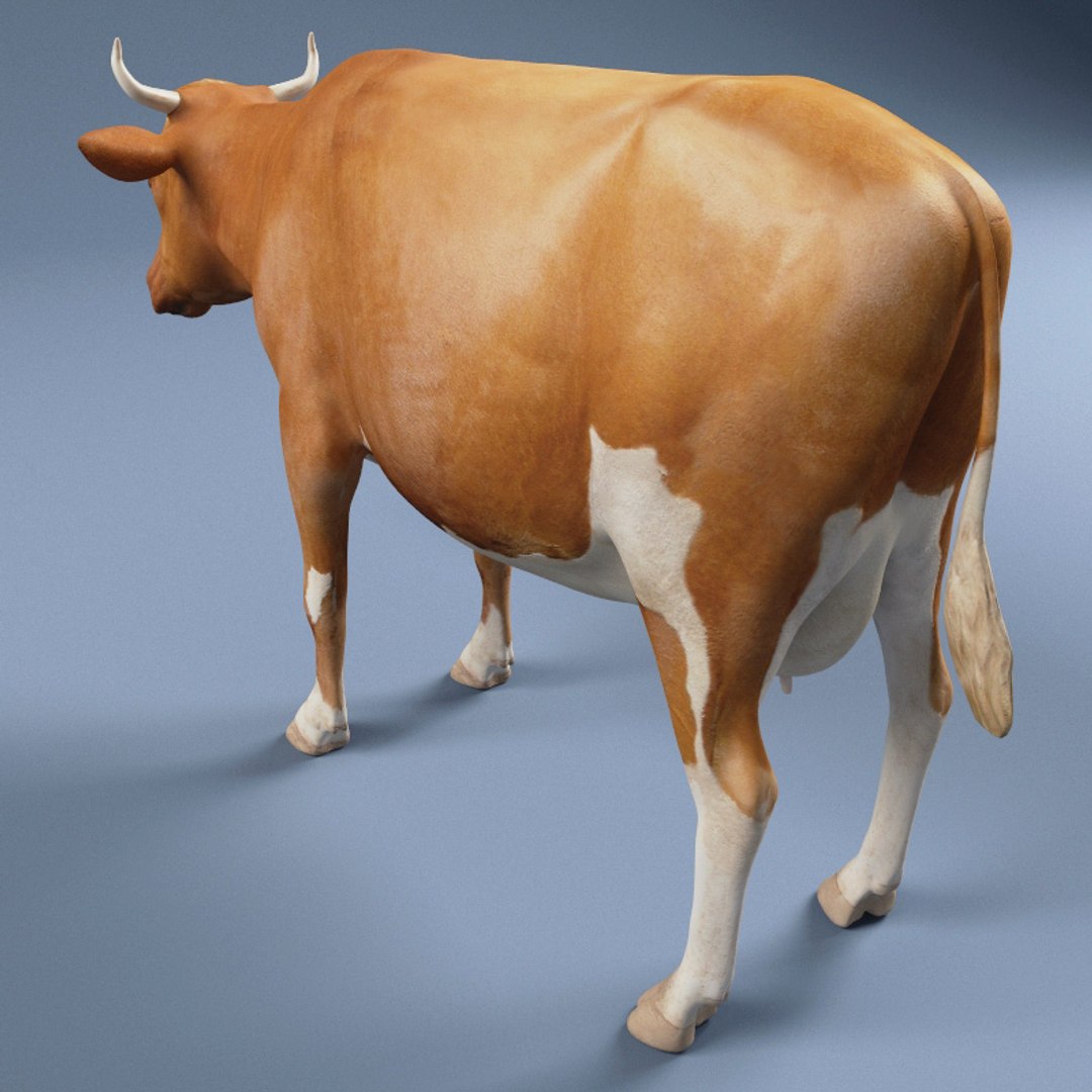 Farm Animals 3d Model