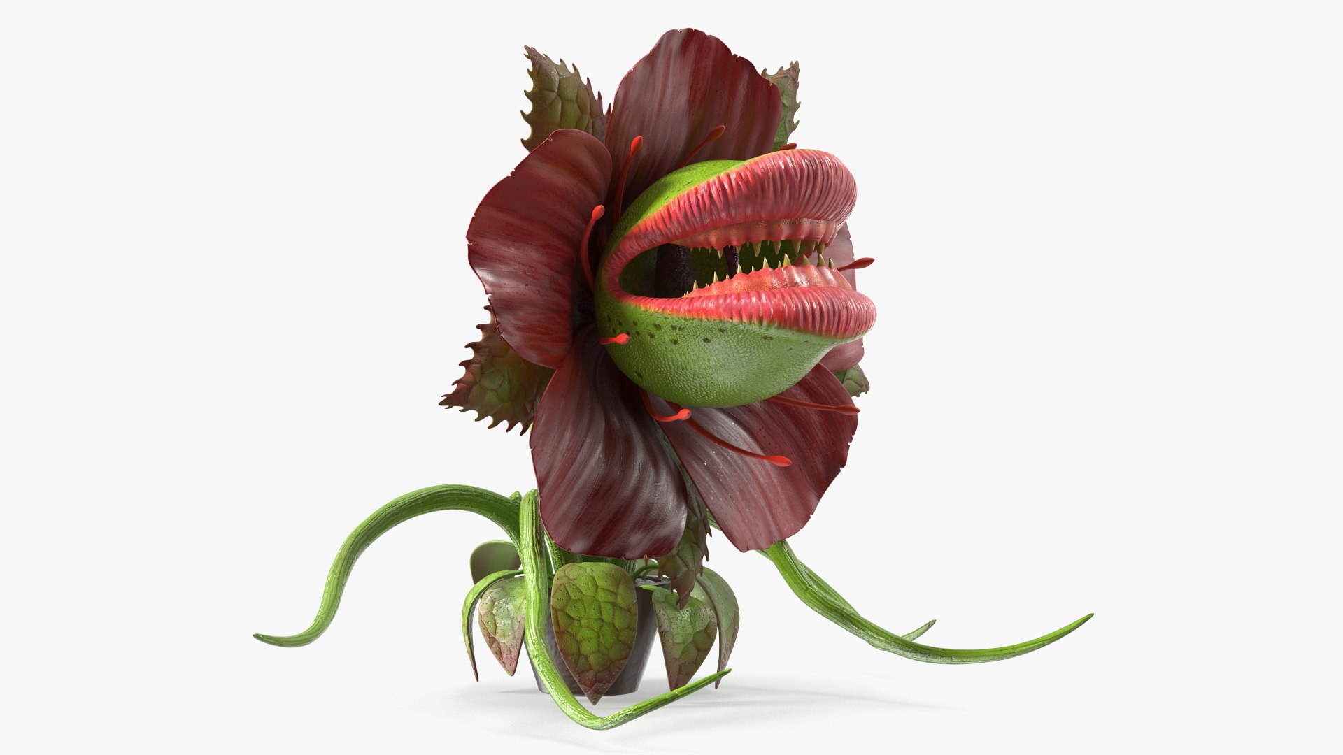3D Model Scary Plant Monster In Pot - TurboSquid 2044939