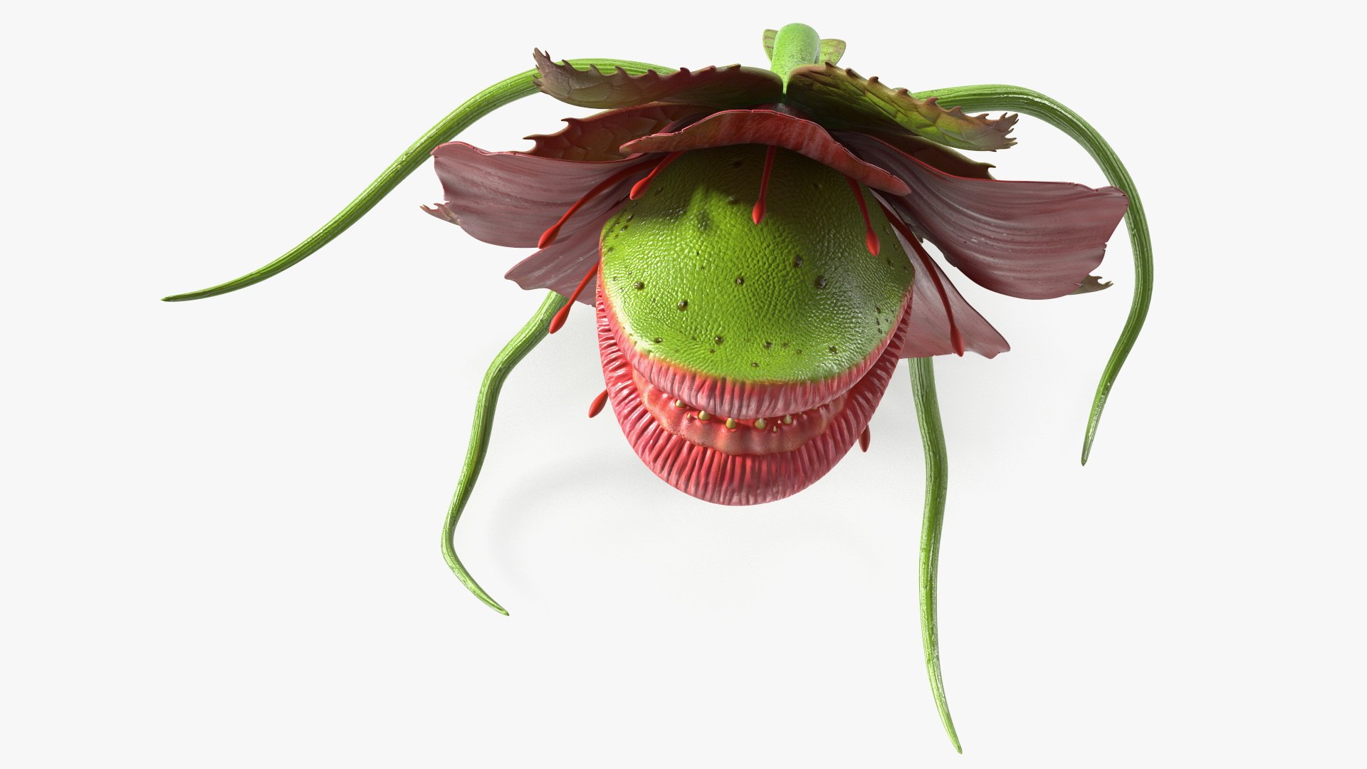 3D Model Scary Plant Monster In Pot - TurboSquid 2044939