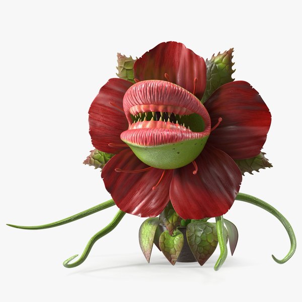 3D model Scary Plant Monster in Pot - TurboSquid 2044939