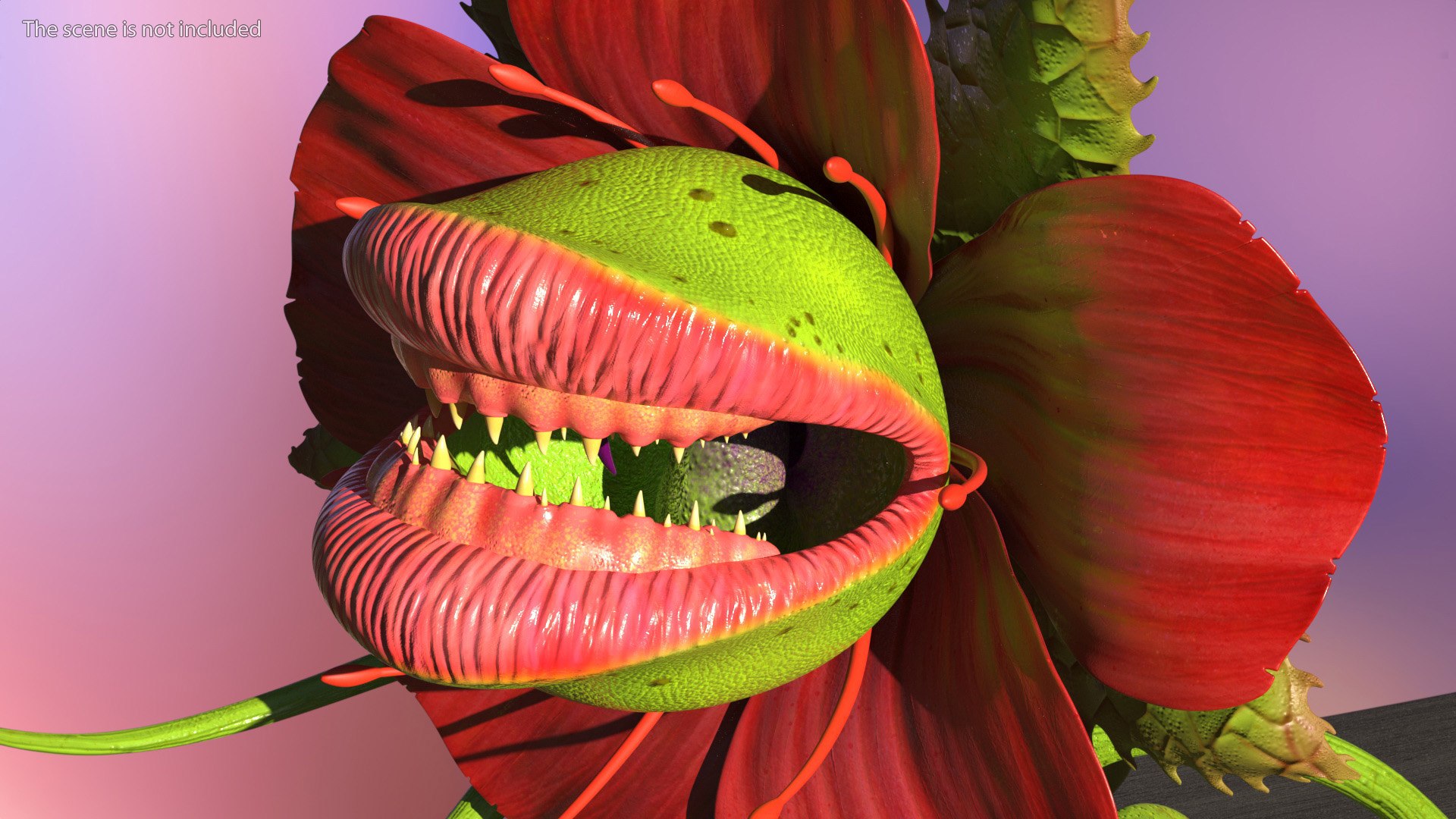 3D Model Scary Plant Monster In Pot - TurboSquid 2044939