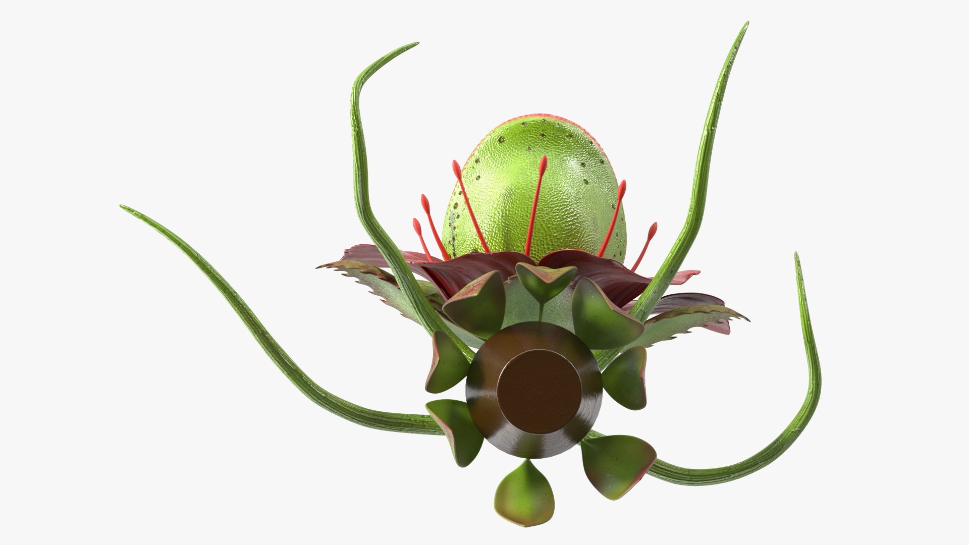 3D Model Scary Plant Monster In Pot - TurboSquid 2044939