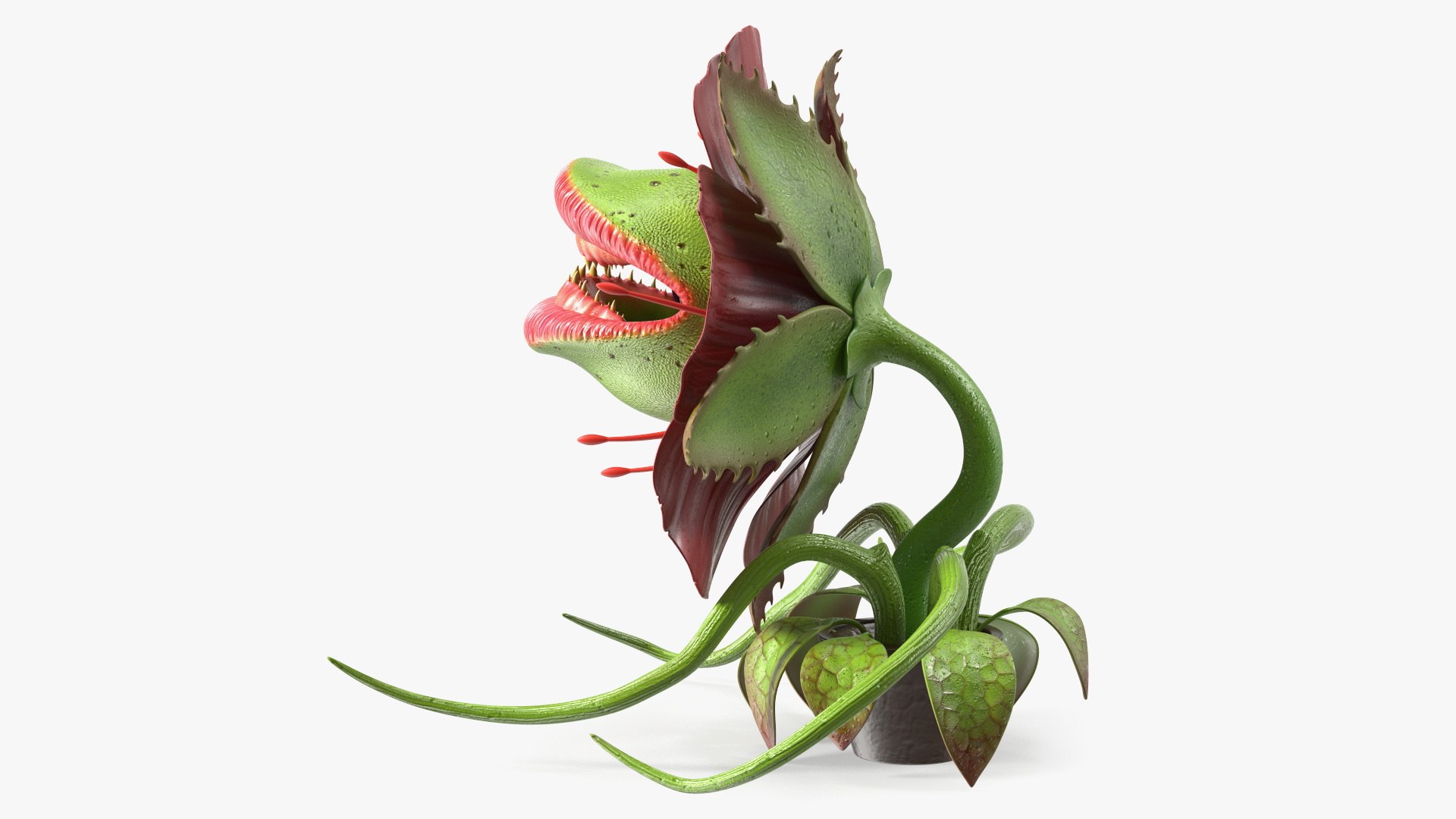 3D Model Scary Plant Monster In Pot - TurboSquid 2044939