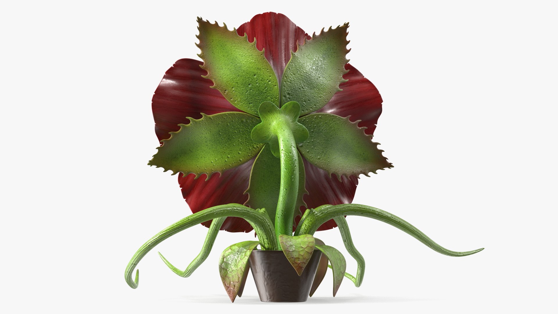 3D Model Scary Plant Monster In Pot - TurboSquid 2044939