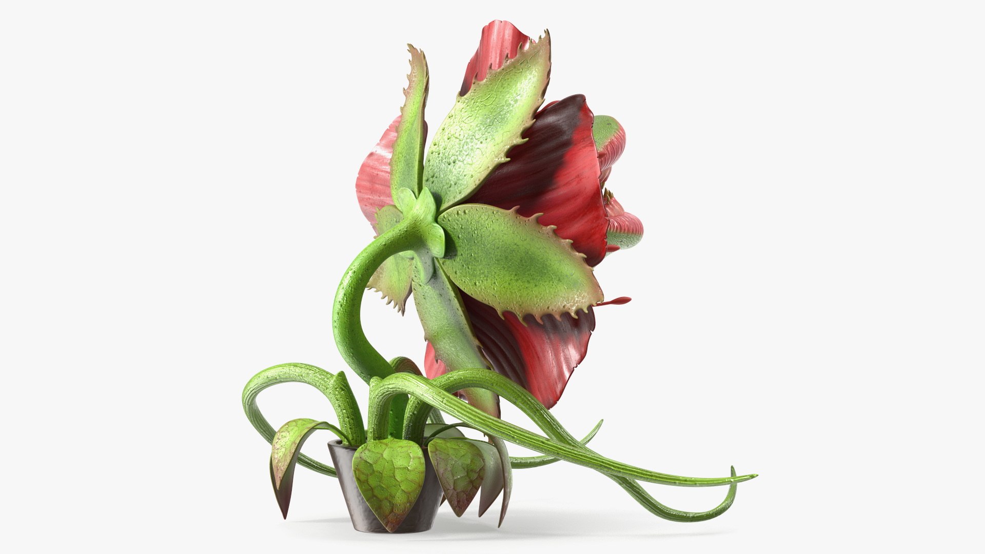 3D Model Scary Plant Monster In Pot - TurboSquid 2044939