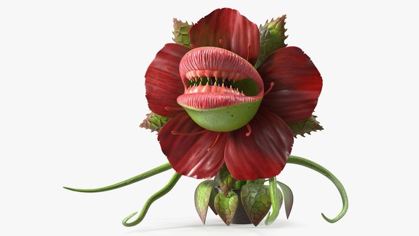Scary Plant Monster in Pot Modelo 3D - TurboSquid 2044939