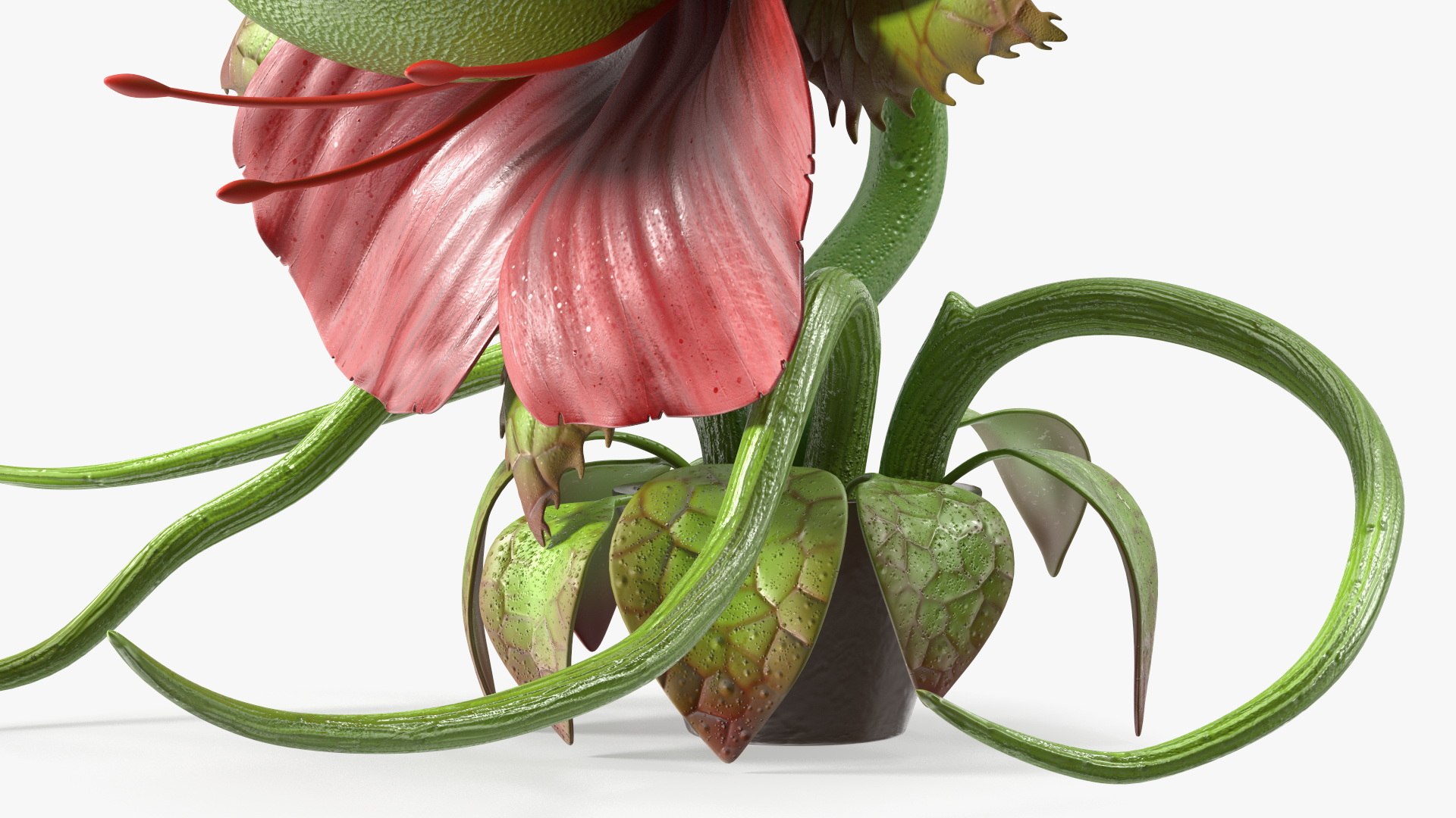 3D Model Scary Plant Monster In Pot - TurboSquid 2044939