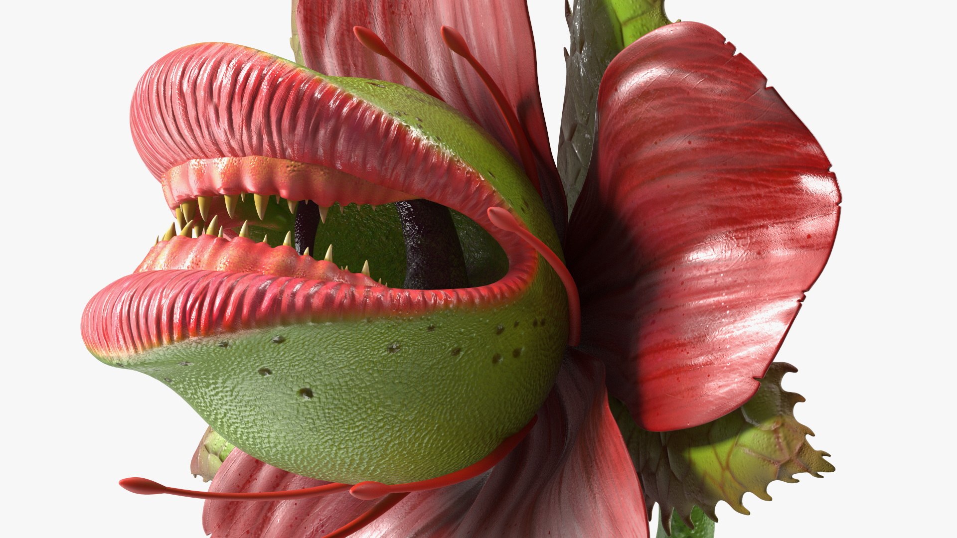 3D Model Scary Plant Monster In Pot - TurboSquid 2044939
