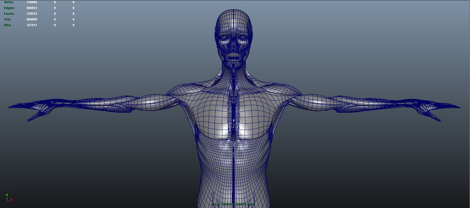 3D model human body muscles - TurboSquid 1268735