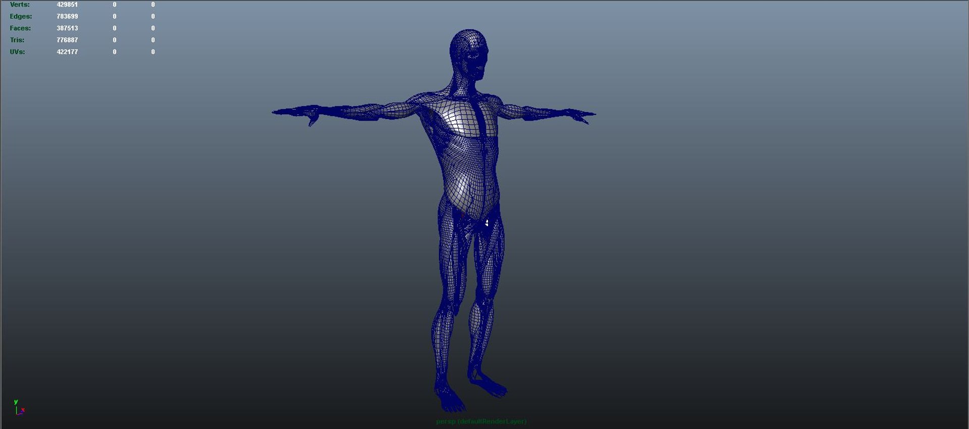 3D model human body muscles - TurboSquid 1268735