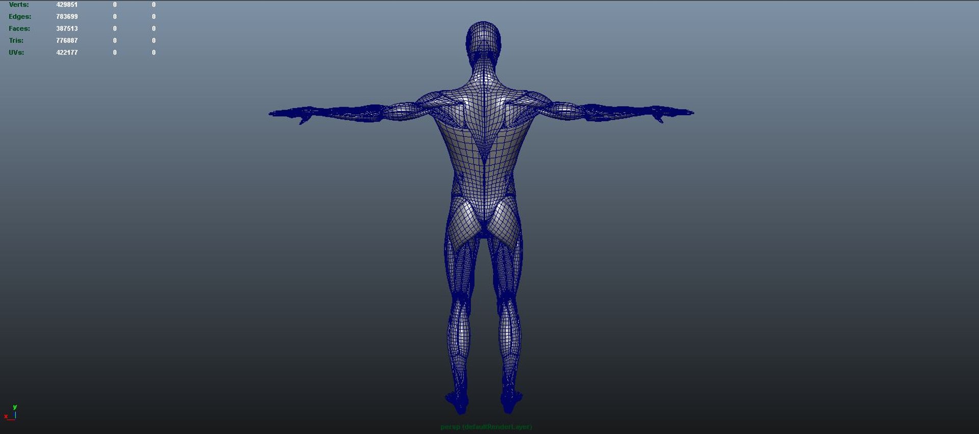 3D model human body muscles - TurboSquid 1268735