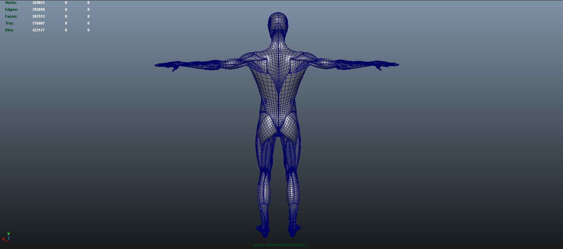 3D model human body muscles - TurboSquid 1268735