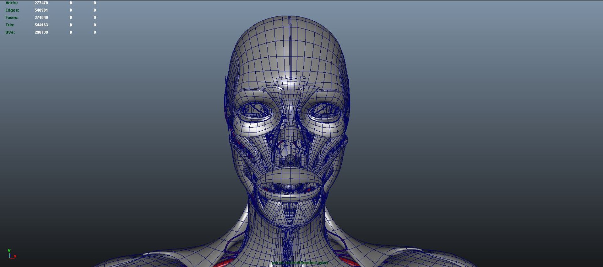 3D model human body muscles - TurboSquid 1268735