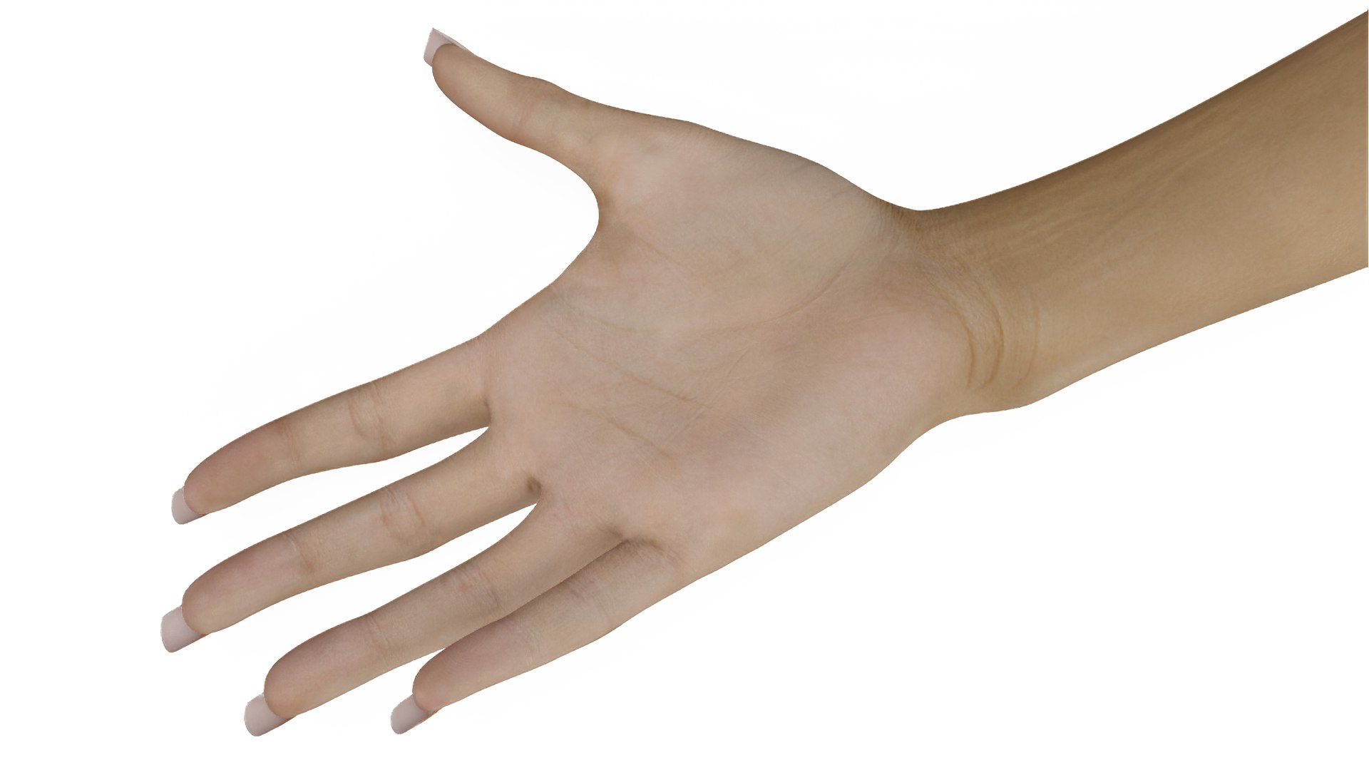 3D Caucasian Female Hand Base Pose model - TurboSquid 2169043