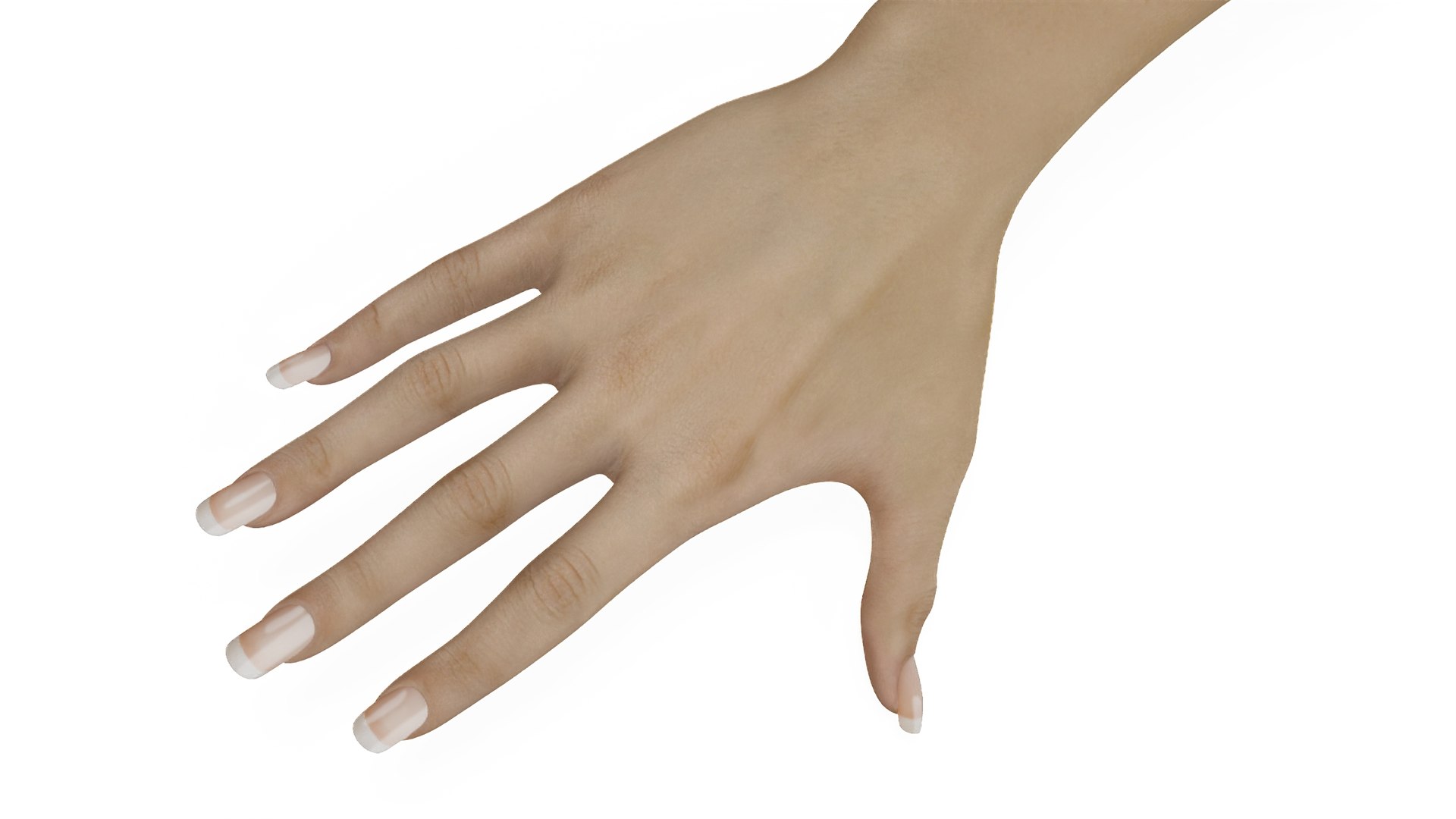 3D Caucasian Female Hand Base Pose model - TurboSquid 2169043