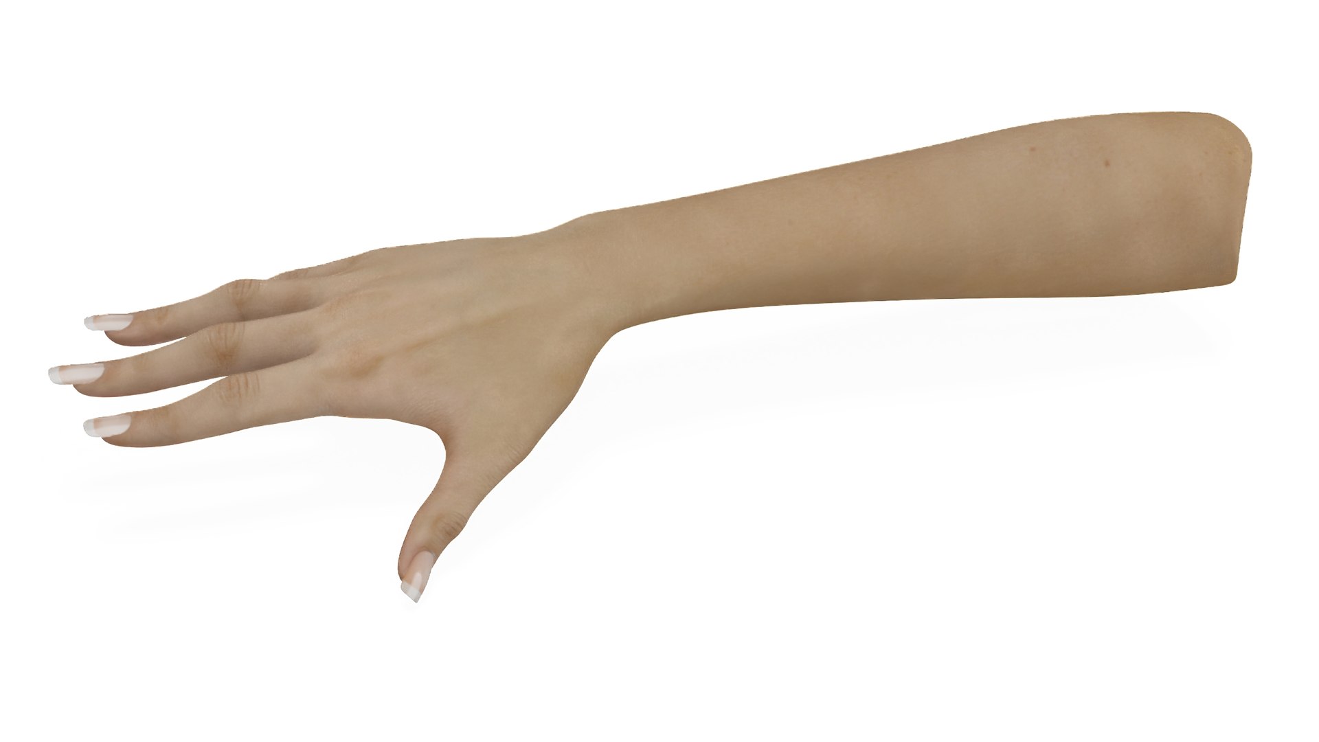 3D Caucasian Female Hand Base Pose model - TurboSquid 2169043