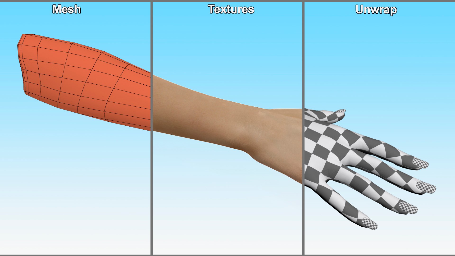 3D Caucasian Female Hand Base Pose model - TurboSquid 2169043