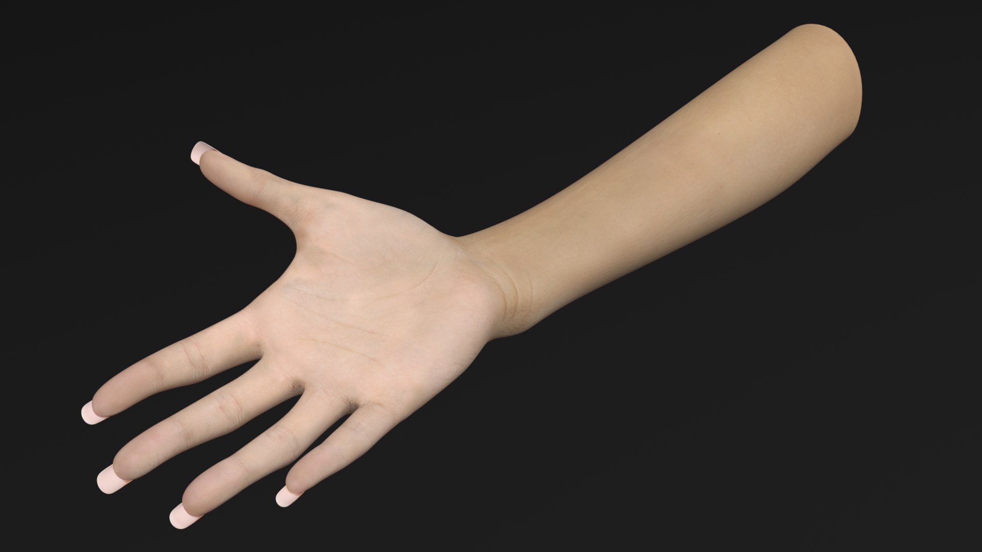 3D Caucasian Female Hand Base Pose model - TurboSquid 2169043
