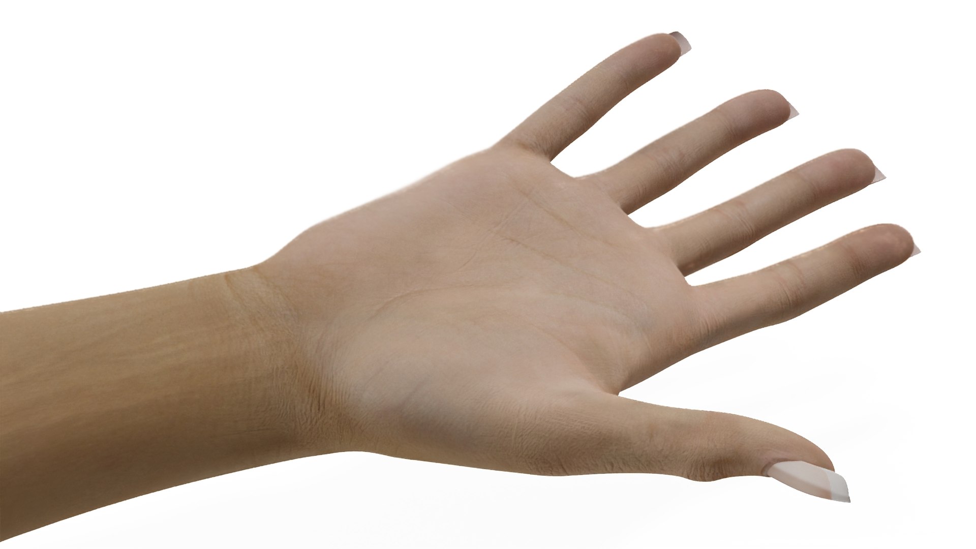 3D Caucasian Female Hand Base Pose model - TurboSquid 2169043