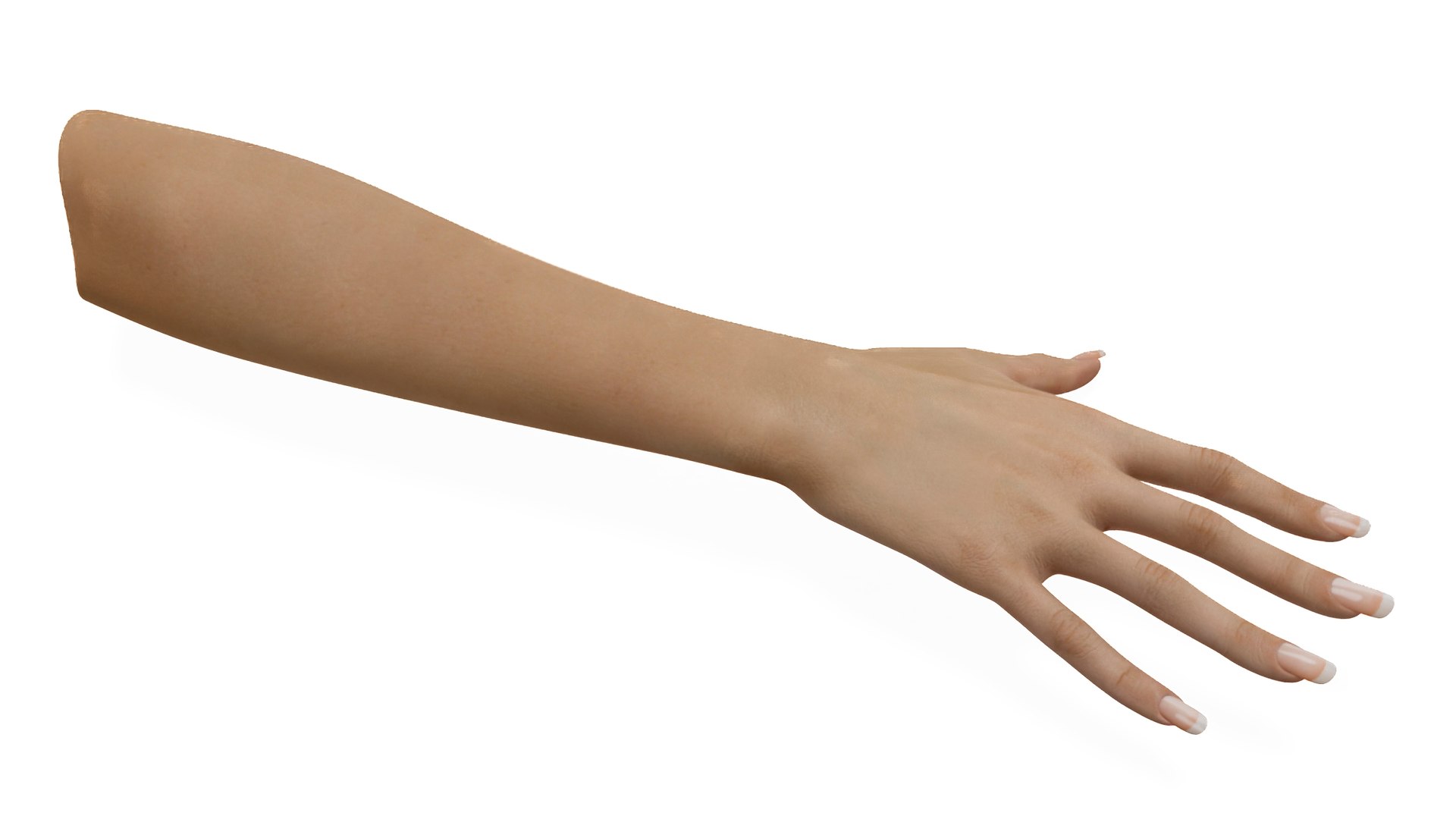 3D Caucasian Female Hand Base Pose model - TurboSquid 2169043